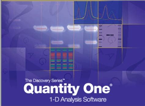 Wb条带灰度分析软件盘点总结，ipp、image J Fiji、quantity One 哔哩哔哩
