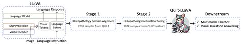 quilt llava visual instruction tuning by extracting localized