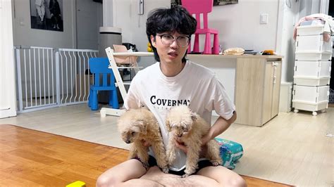 출산때문에 강아지를 잠시 보내자는 아내 절대 반대하는 남편 싸움 YouTube
