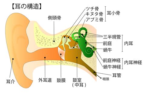 中央区メニエール病治療の施術実績豊富な鍼灸整体院