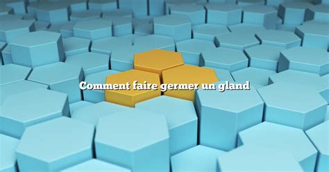 Comment Faire Germer Un Gland Diffusonslascience