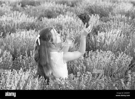 Teen Summer Girl In Lavender Field Enjoying Freedom And Nature Girl