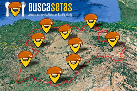 participantes en las jornadas Buscasetas Sitio web de las Jornadas Gastro micológicas