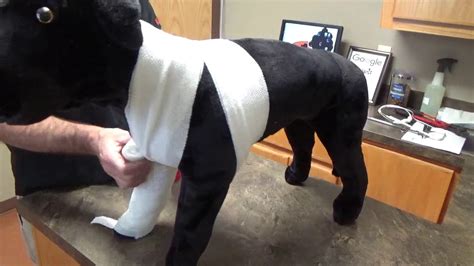 When To Apply A Splint At Poppy Mcbrien Blog