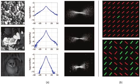 A Constancy Of Natural Image Statistics A 1 Three Images A 2 Download Scientific