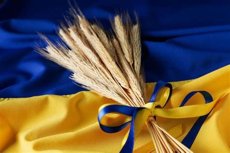 Колоски с лентами на избирательном фокусе украинского флага Премиум