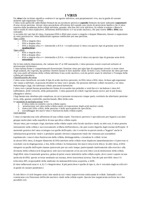 Virus E Batteri La Loro Differenza Docsity
