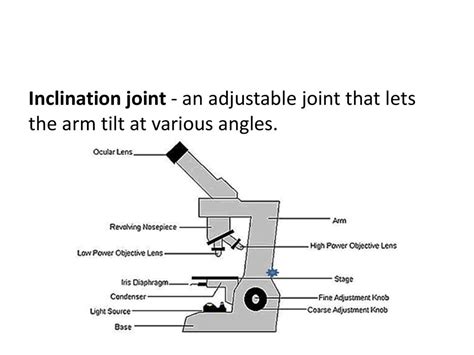Inclination Joint Microscope Function At Scott Steward Blog