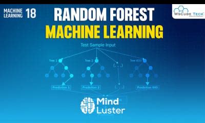 Learn Random Forest Classification In Machine Learning Random Forest Tutorial Mind Luster