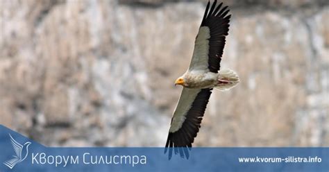 ЕРП Север стартира проект с европейско финансиране съвместно с Българско дружеството за защита