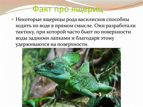 Рептилии презентация онлайн