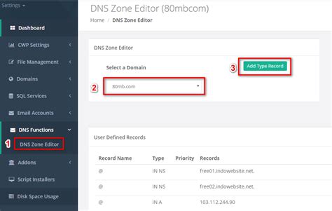 Cara Create Dan Delete DNS Record Di CWP IndoWebsite Knowledgebase
