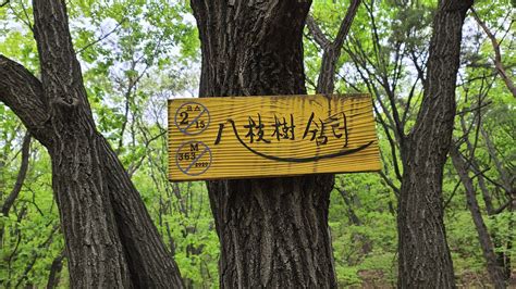 인천둘레길인천녹색종주길 4코스 Youtube