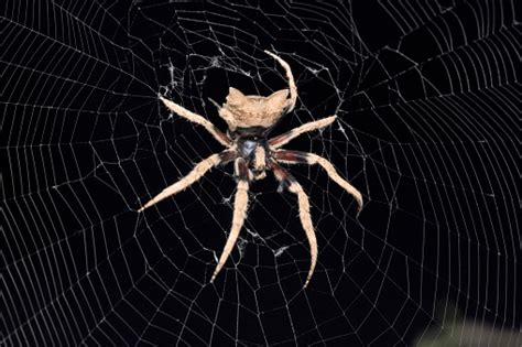 Lonand Fotos Baixe Imagens Gratuitas Na Unsplash