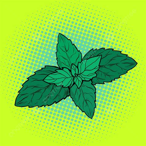 Cómic De Arte De Dibujos Animados De Hoja De Menta PNG Medicinal