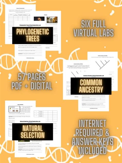 Introduction To Evolution Lab Activity No Prep Virtual Science Simulation Bundle