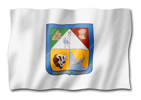 Premium Photo Sonora State Flag Mexico