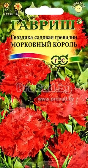 Купить семена гвоздики садовой гренадин Морковный король почтой по ...