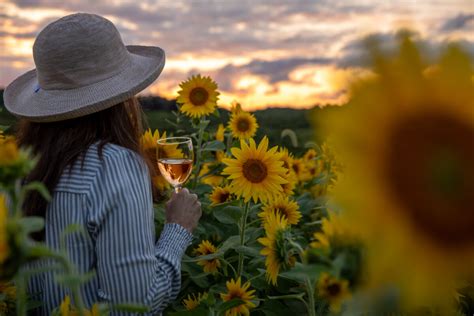 Historic Ashtabula Harbor Visit Ashtabula Ohio Wine Country