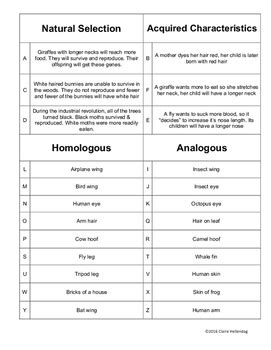 Homologous And Analogous Structures Worksheet