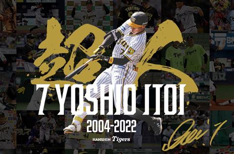 糸井嘉男メモリーズ 勝手に応援・阪神タイガース