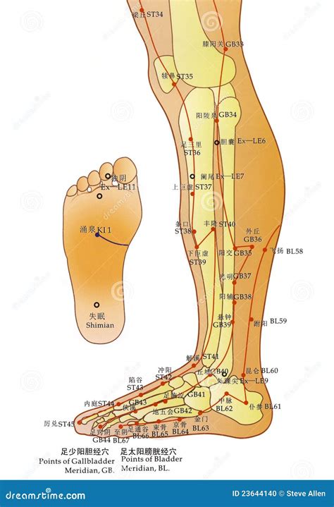 Acupuncture Chart Alternative Medicine Editorial Image Image 23644140