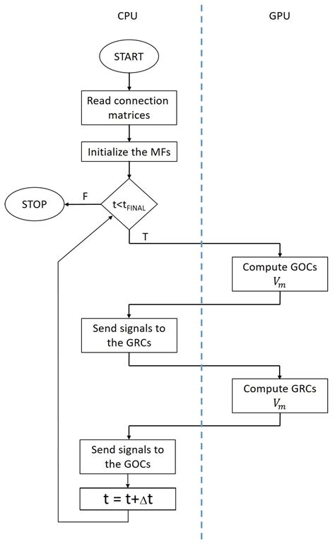 Bioengineering Free Full Text Towards The Simulation Of A Realistic