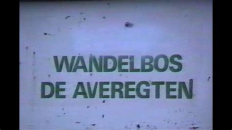Heist Op Den Berg De Averegten Wordt Provinciaal Domein In 1993 YouTube