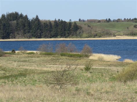 Coastal Heath By Irwingreylord On Deviantart