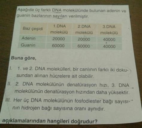 Aşağıda üç Farklı Dna Molekülünde Bulunan Adenin Ve Guanin Bazlarının