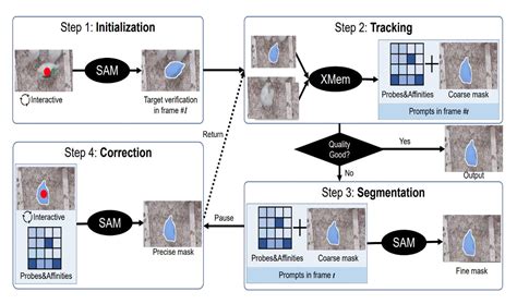 Tracking Poultry Locomotion With Ai Technology Precision Poultry Farming