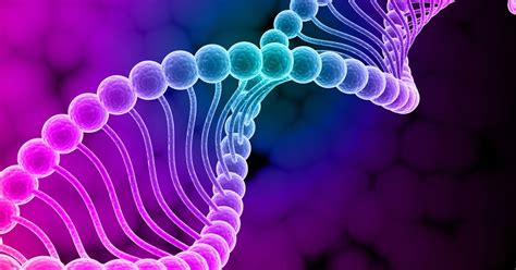 What Is Genetics And Variation Scholars Globe