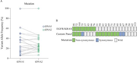 Performance Of The Custom Panel A Comparison Of Vaf In Tdna Detected Download Scientific