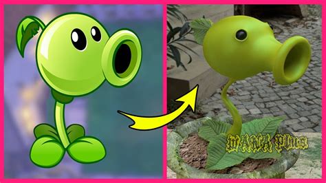 Plants Vs Zombies In Real Life