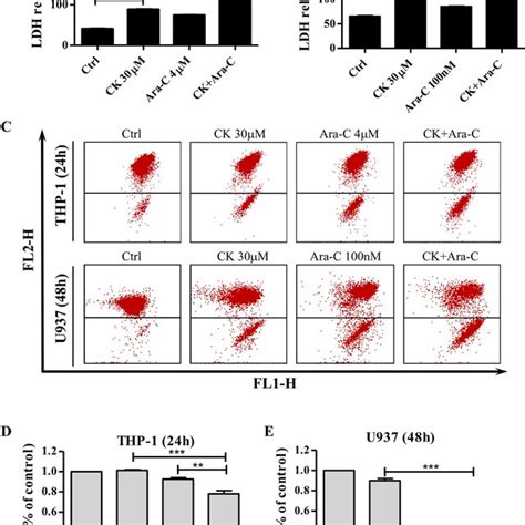 Compound K Promotes Ara C Induced Dna Damage In Aml Cells A And C