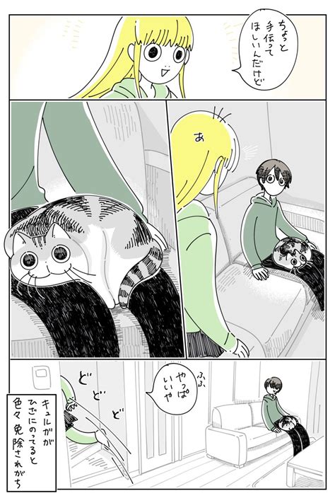 Https Nekonavi Jp Catblog Archives Z