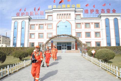 祁连山国家公园张掖分局生态文化系列 森林草原防火篇十六 中国自然保护区生物标本资源共享平台