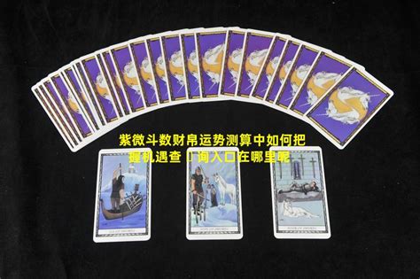 紫薇斗数迁宫详解紫微斗数迁移宫代表什么意思 神卜网