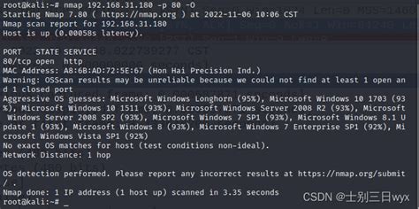 Nmap使用教程图文教程（超详细）零基础入门到精通，收藏这一篇就够了 Csdn博客