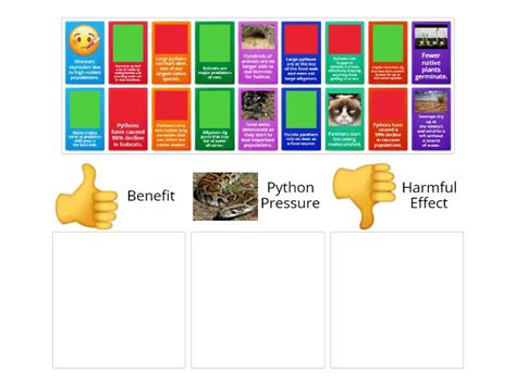 Python Cause And Effect Group Sort
