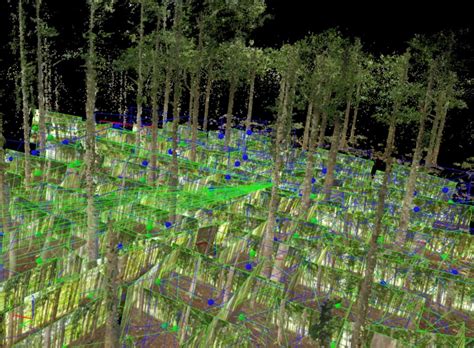methodology of sampling forest inventory of plantations using digital