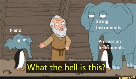Z Wy String Instruments Piano Precussion Instruments The Hell Is This