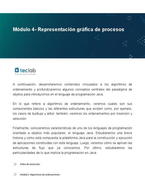 Módulo 4 Representación Gráfica De Procesos Pdf Java Lenguaje De