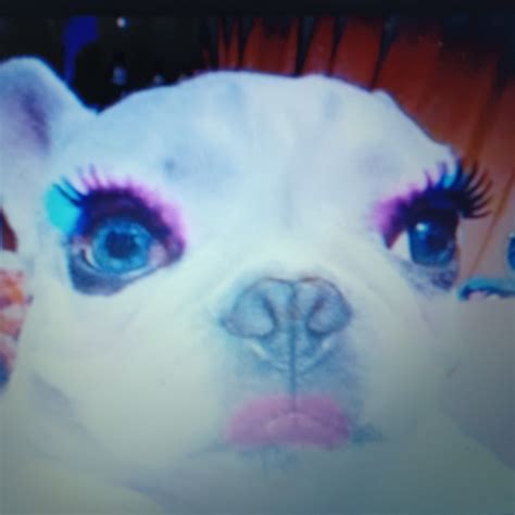 Trixie Youtube