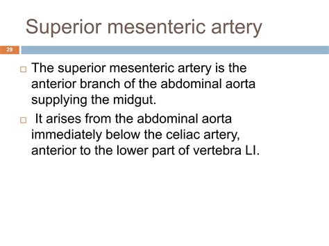 Arterialsupplyoftheabdomen Aorta Ppt