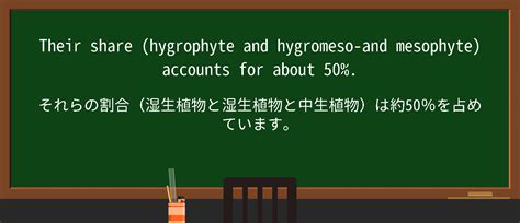 【英単語】hygrophyteを徹底解説！意味、使い方、例文、読み方 おもしろい英文法