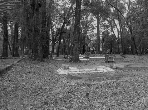 Sand Hill Cemetery Illumination In Darkness