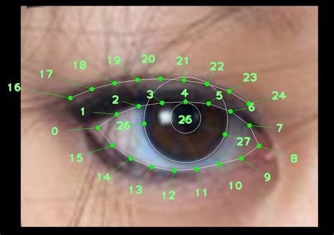 Github Elucideyedrishti Real Time Eye Tracking For Embedded And