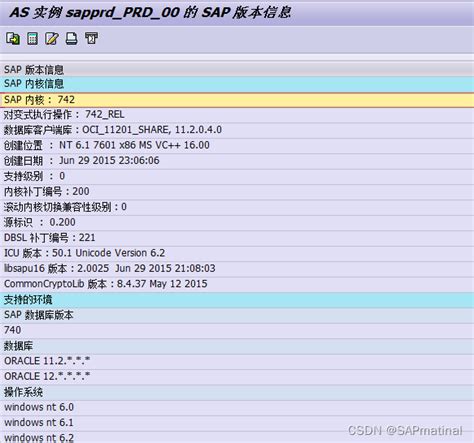 sap 系统内核版本详解 sap版本 csdn博客