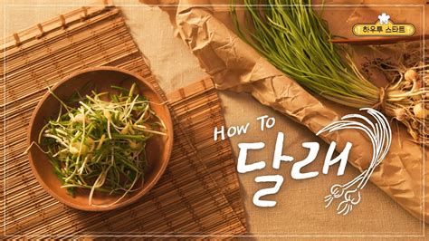 하우투 스타트 집 나간 입맛도 돌아오게 만드는 봄 제철 음식 달래 손질법 Youtube